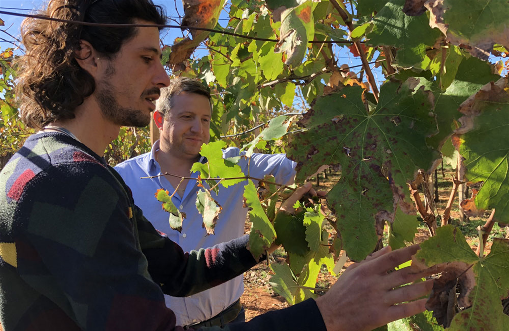 Wine maker's team orion wines