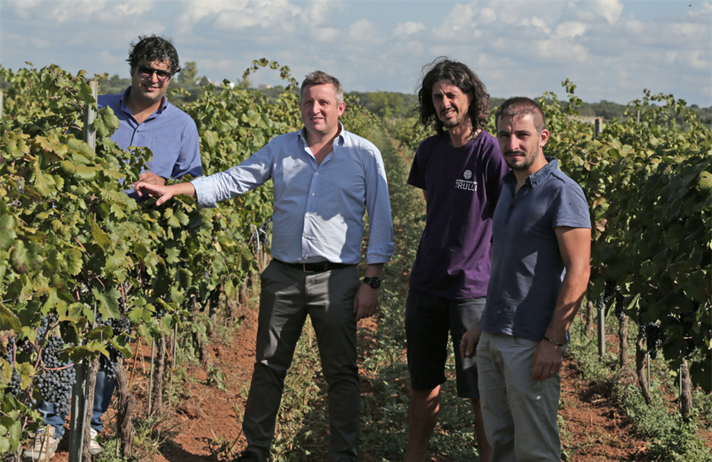 Wine maker's team orion wines